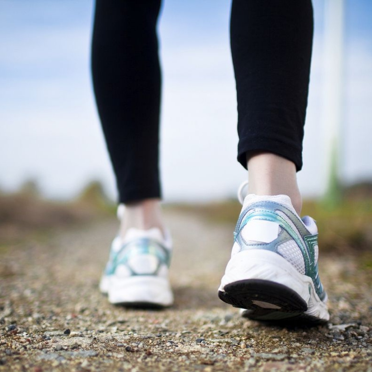 Lancaster School - Organised Student Walks in the Community